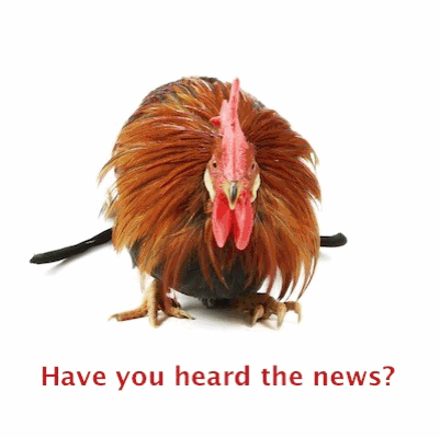 Website Paul: Mates Stuff